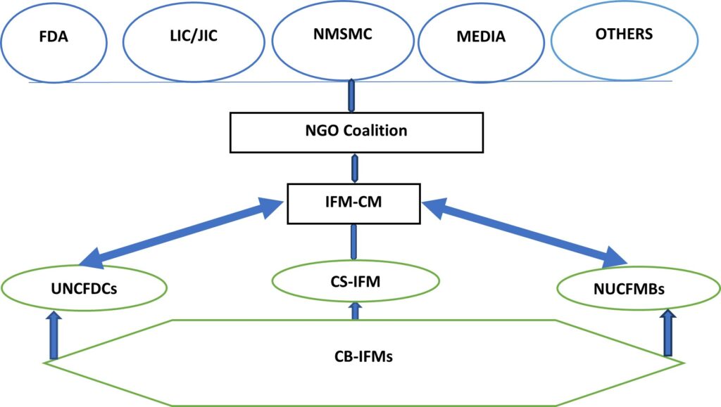 Independent Forest Monitoring Coordination Mechanism: Institutional ...
